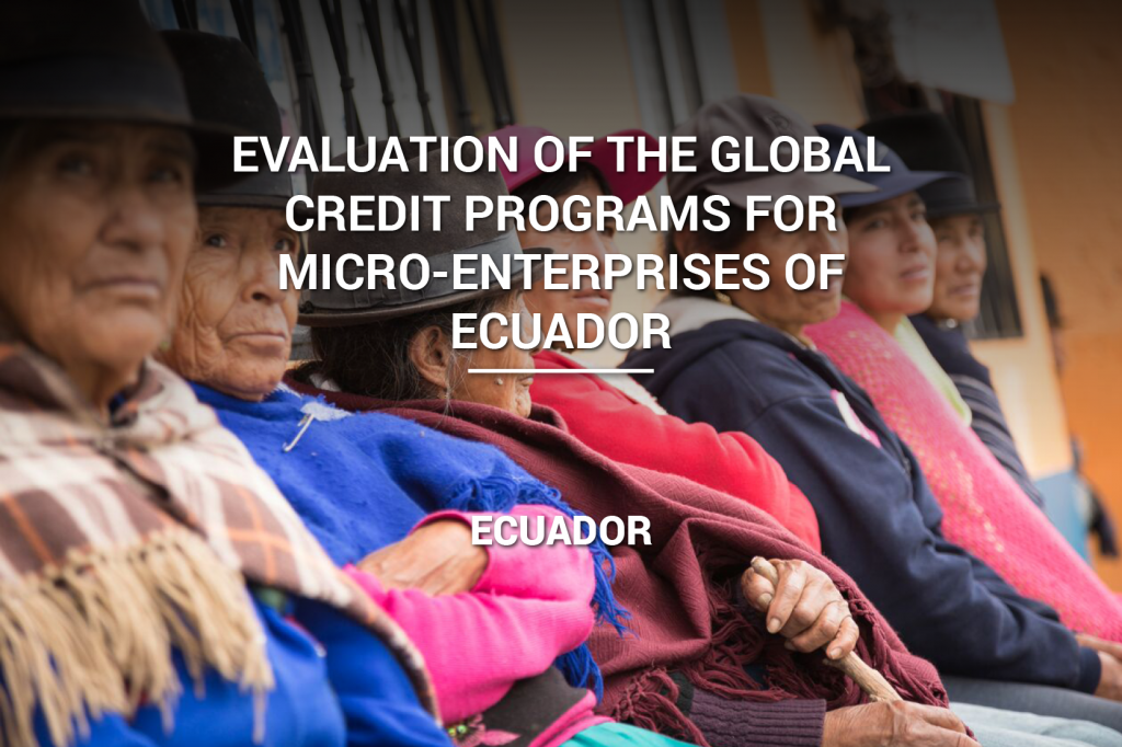 Evaluation of the Global Credit Programs for Micro-Enterprises of ...